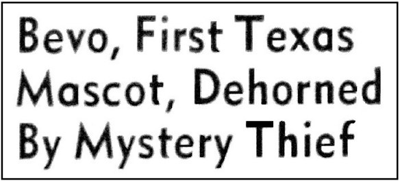 The Misadventures of Bevo’s Head | The UT History Corner