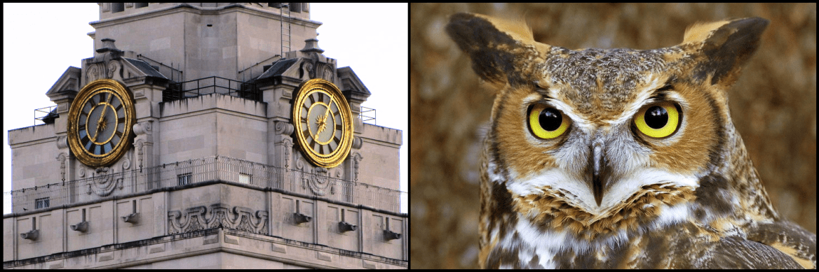 Tower | The UT History Corner